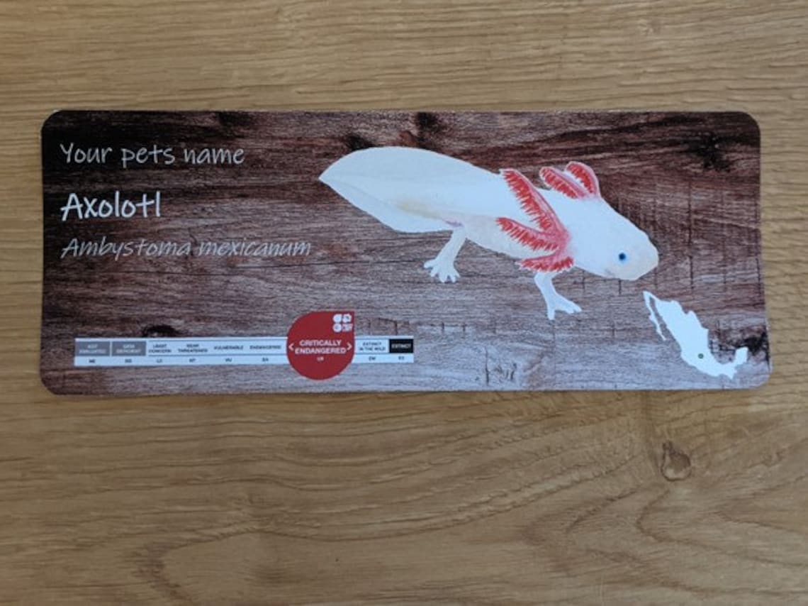 Axolotl Enclosure Zoo Signage Name Tag Sticker Vinyl Animal Sticker ...