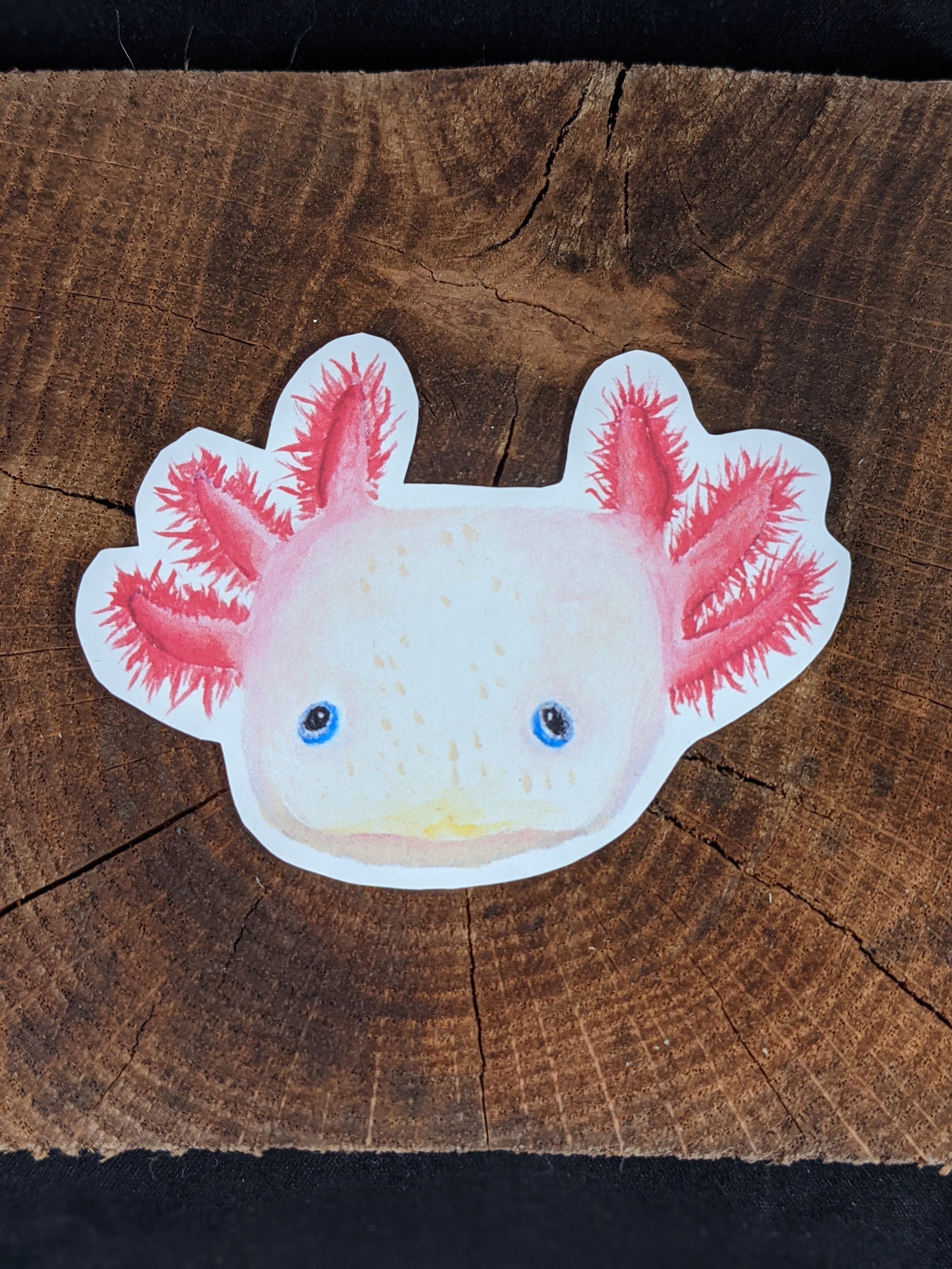 Axolotl Head Sticker Axolotl Name Tag Vinyl Sticker Animal Sticker Hand ...