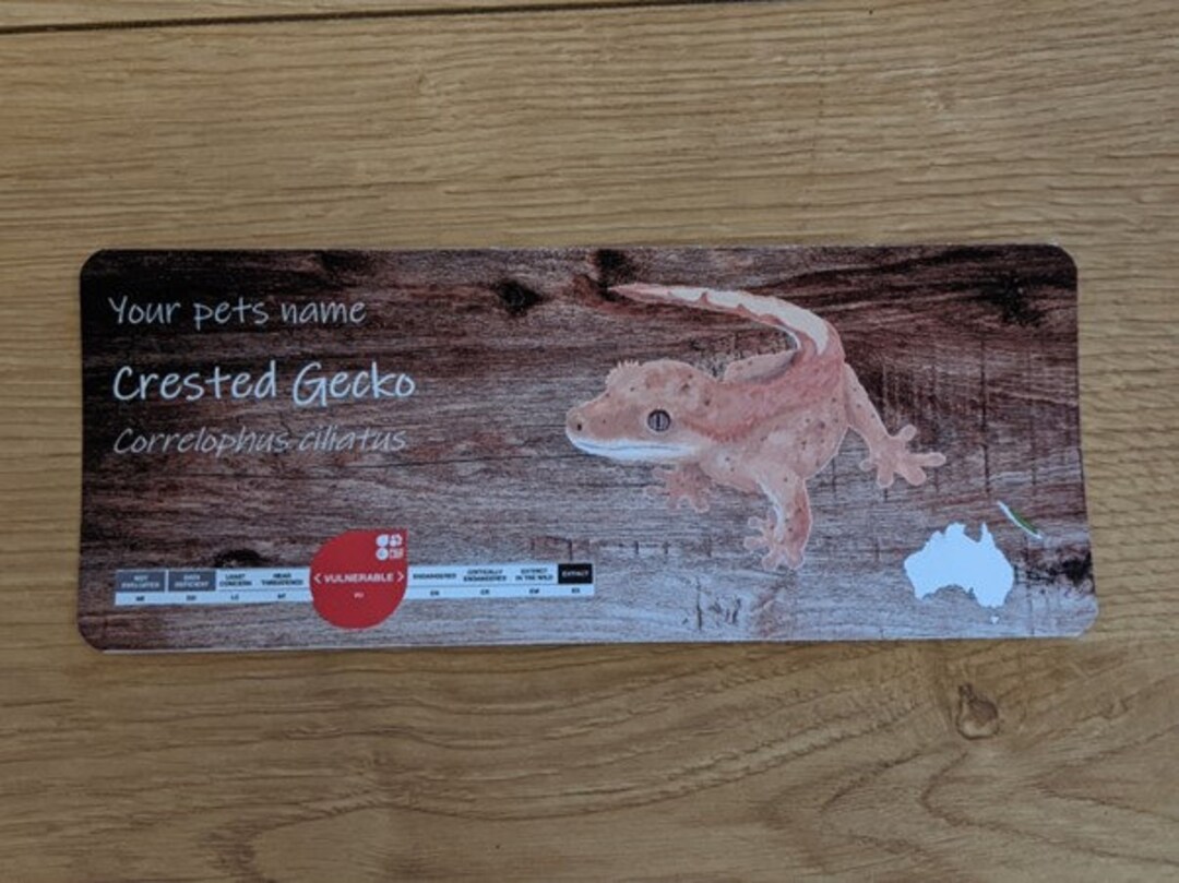 Crested Gecko Enclosure Zoo Signage Name Tag Sticker Vinyl Animal ...