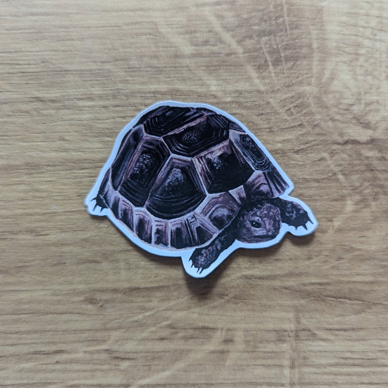 Tortoise Shops - Etsy UK