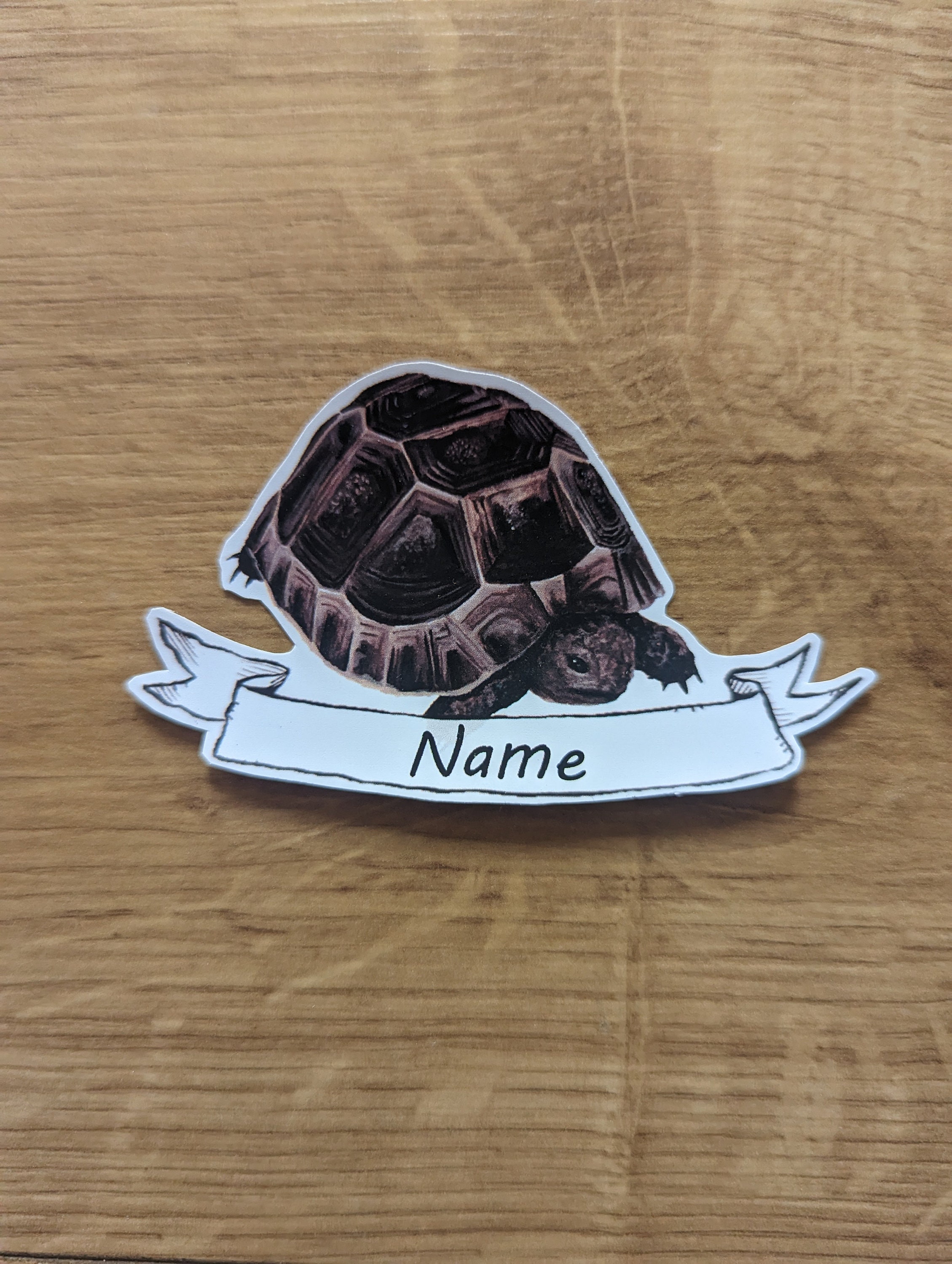 Hermann's Tortoise Name Tag Sticker Vinyl Animal Sticker Hand Painted ...