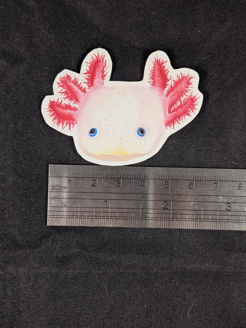 Axolotl Head Sticker Axolotl Name Tag Vinyl Sticker Animal Sticker Hand ...