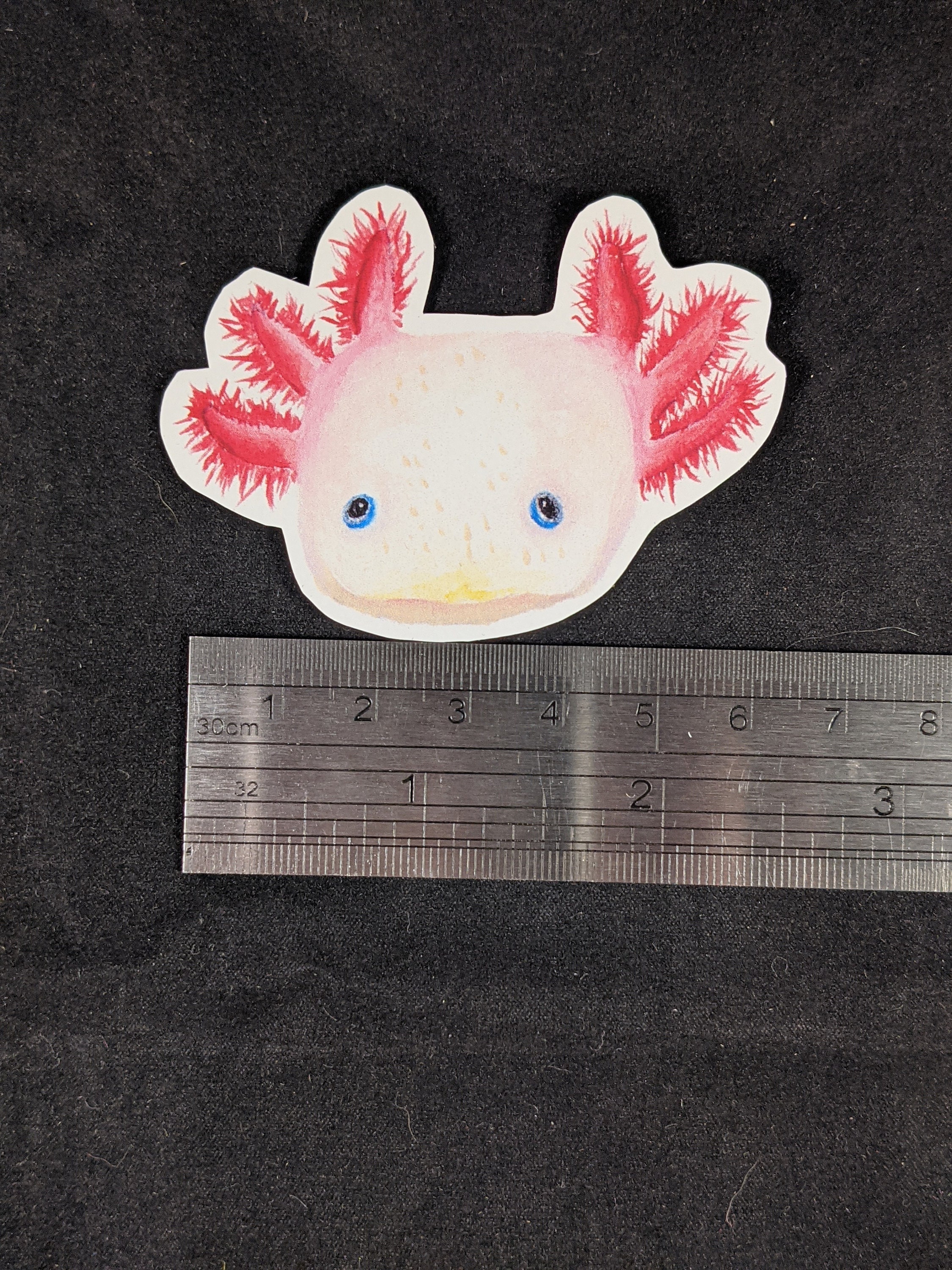 Axolotl Head Sticker Axolotl Name Tag Vinyl Sticker Animal Sticker Hand ...