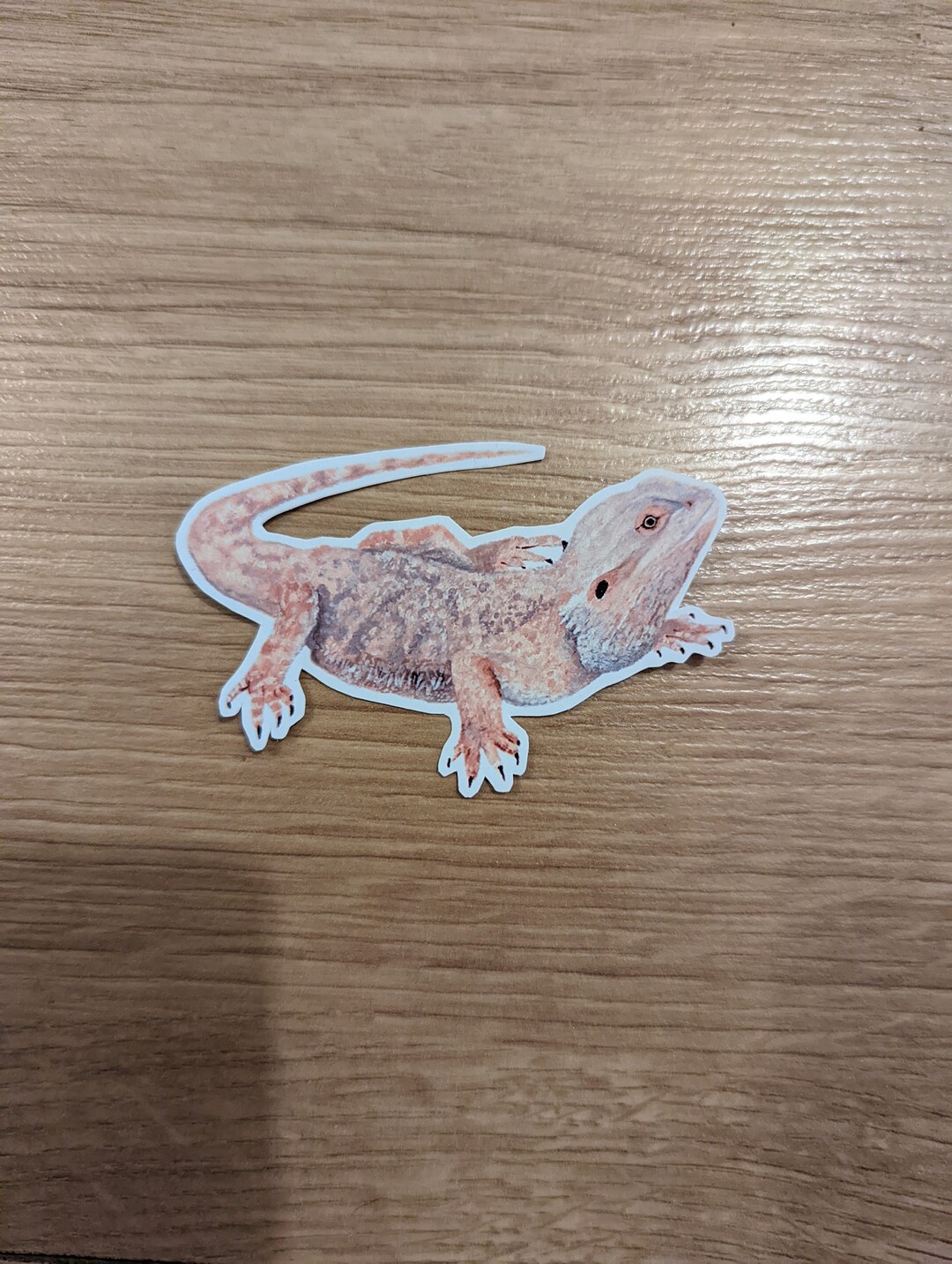 Bearded Dragon Name Tag Sticker Vinyl Animal Sticker Hand Painted ...