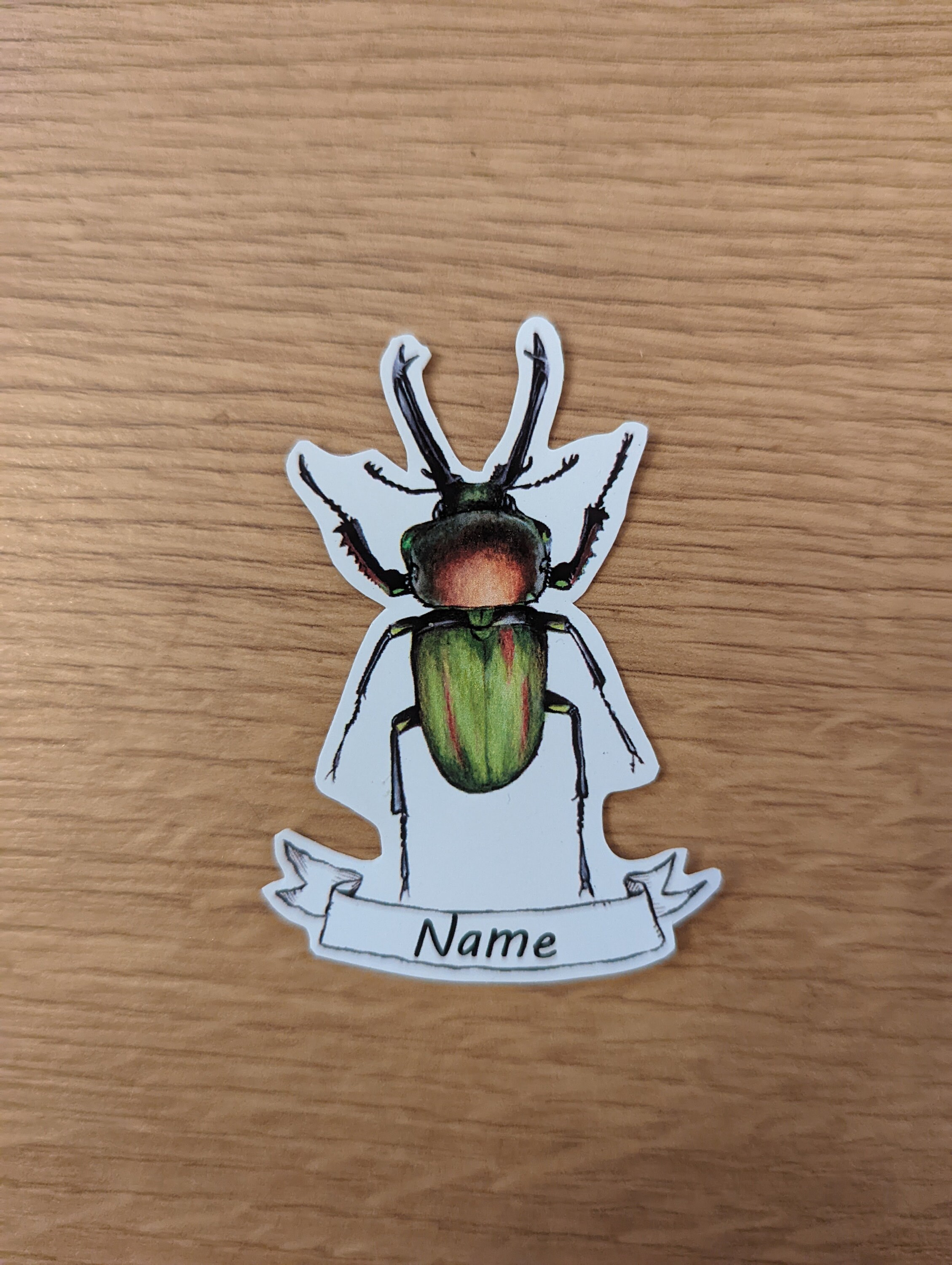 Rainbow Stag Beetle Custom Sticker Phalacrognathus Mueller Animal ...