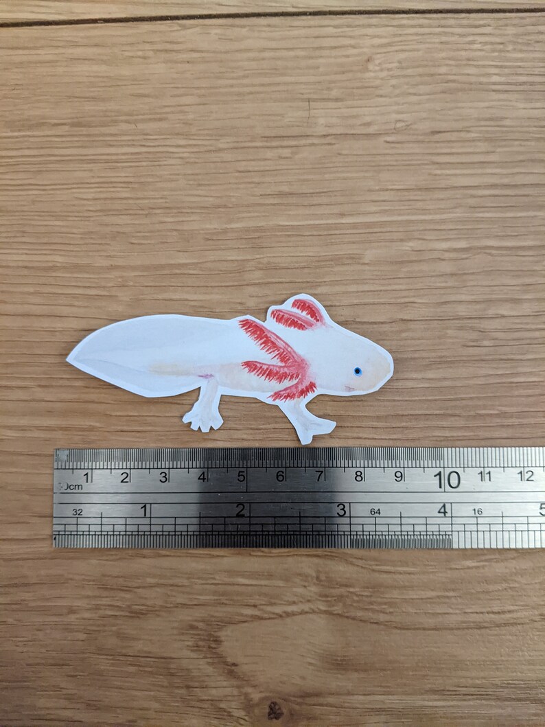 Axolotl Full Body Sticker Axolotl Name Tag Vinyl Sticker Animal Sticker ...