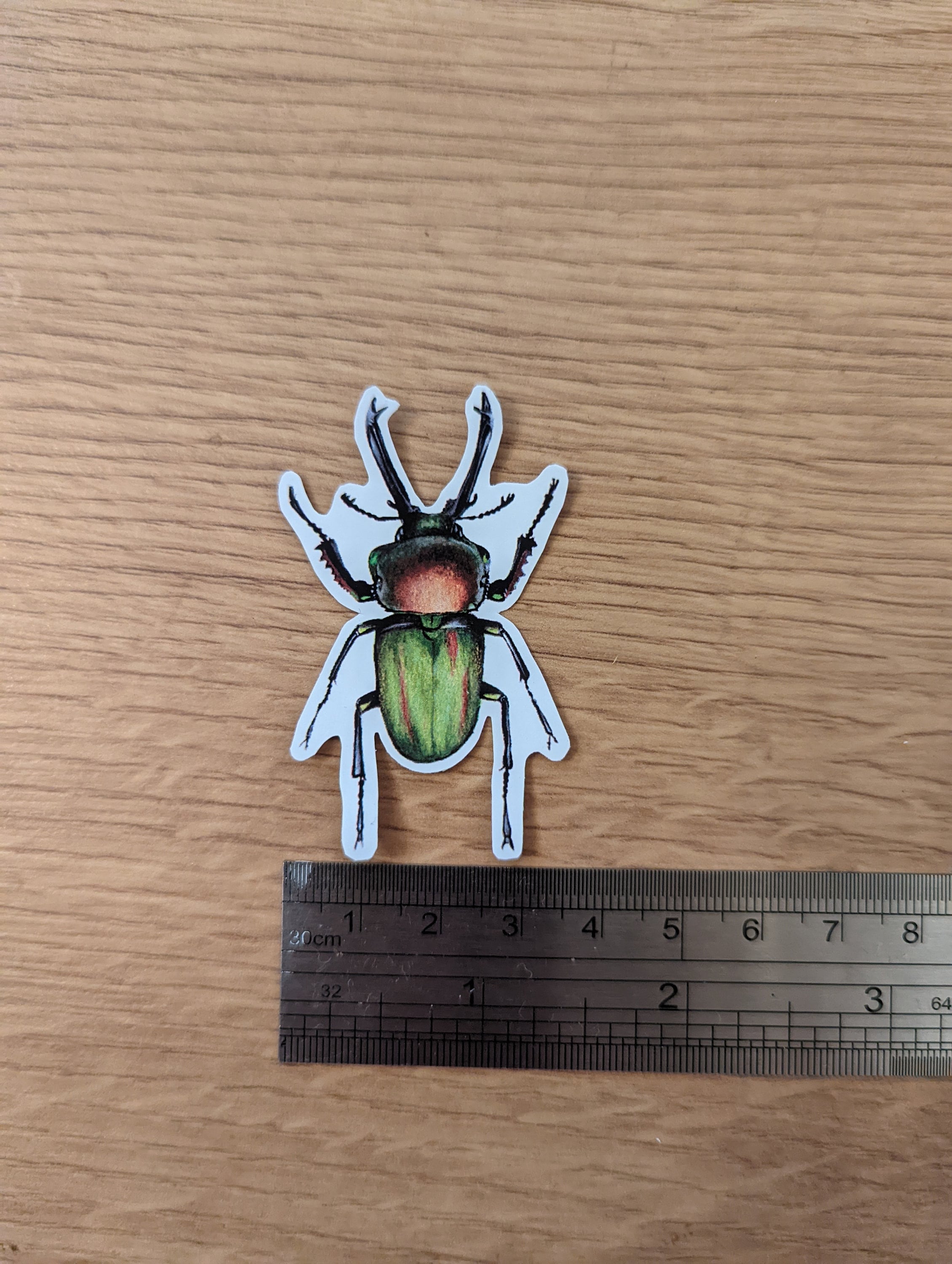Rainbow Stag Beetle Custom Sticker Phalacrognathus Mueller Animal ...