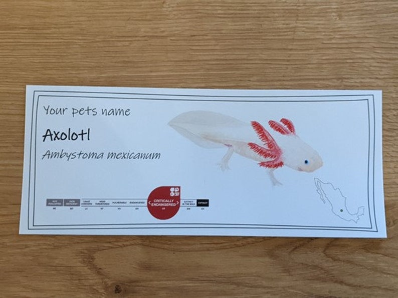 Axolotl Enclosure Zoo Signage Name Tag Sticker Vinyl Animal Sticker ...