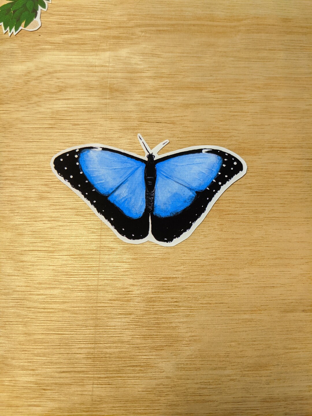 Blue Morpo Butterfly Name Tag Vinyl Sticker, Custom Sticker Hand ...