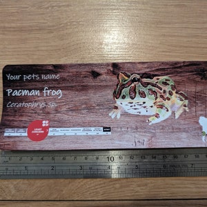 Pacman Frog Enclosure Zoo Signage Name Tag Sticker Vinyl Animal Sticker ...