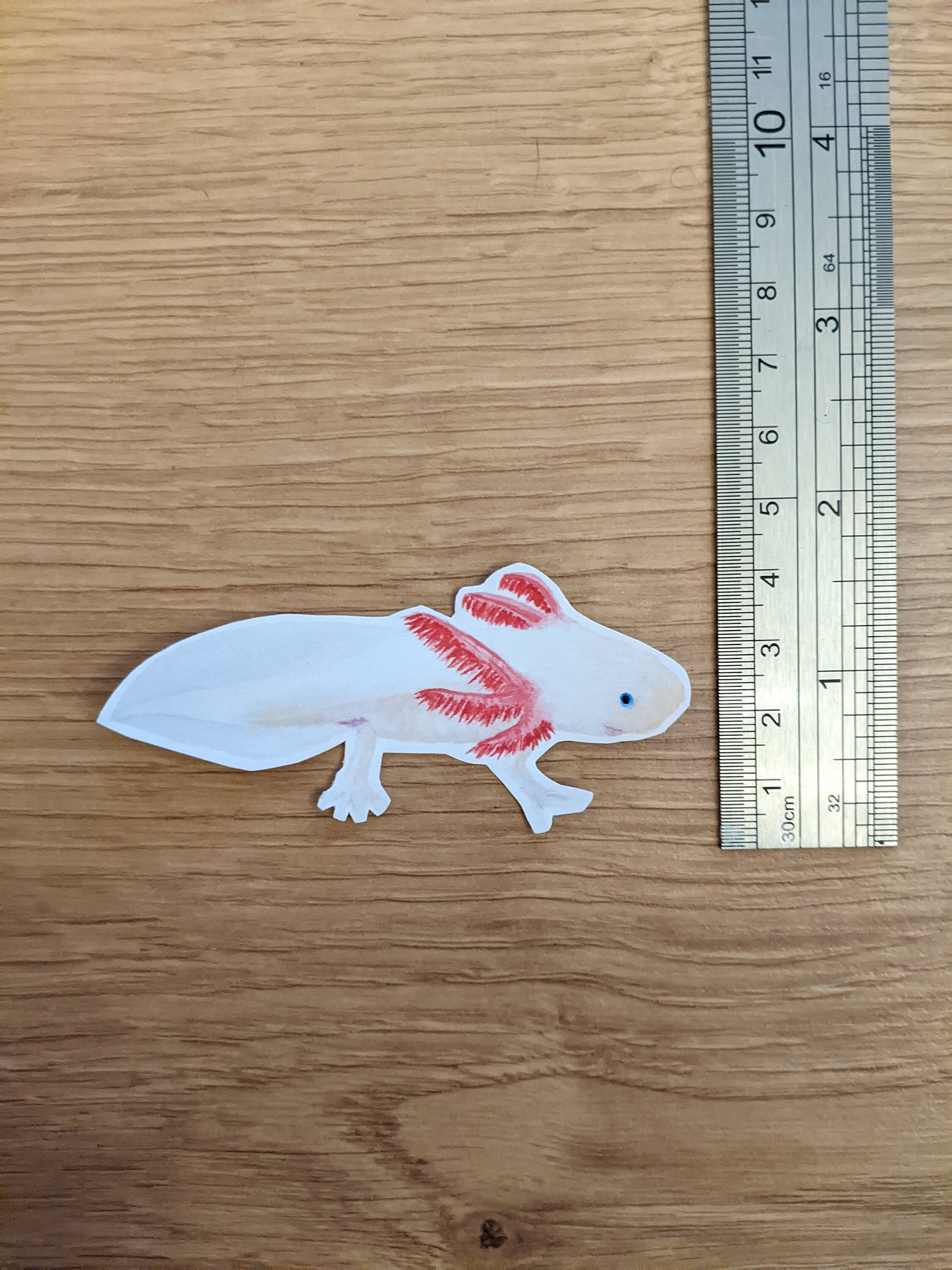 Axolotl Full Body Sticker Axolotl Name Tag Vinyl Sticker Animal Sticker ...