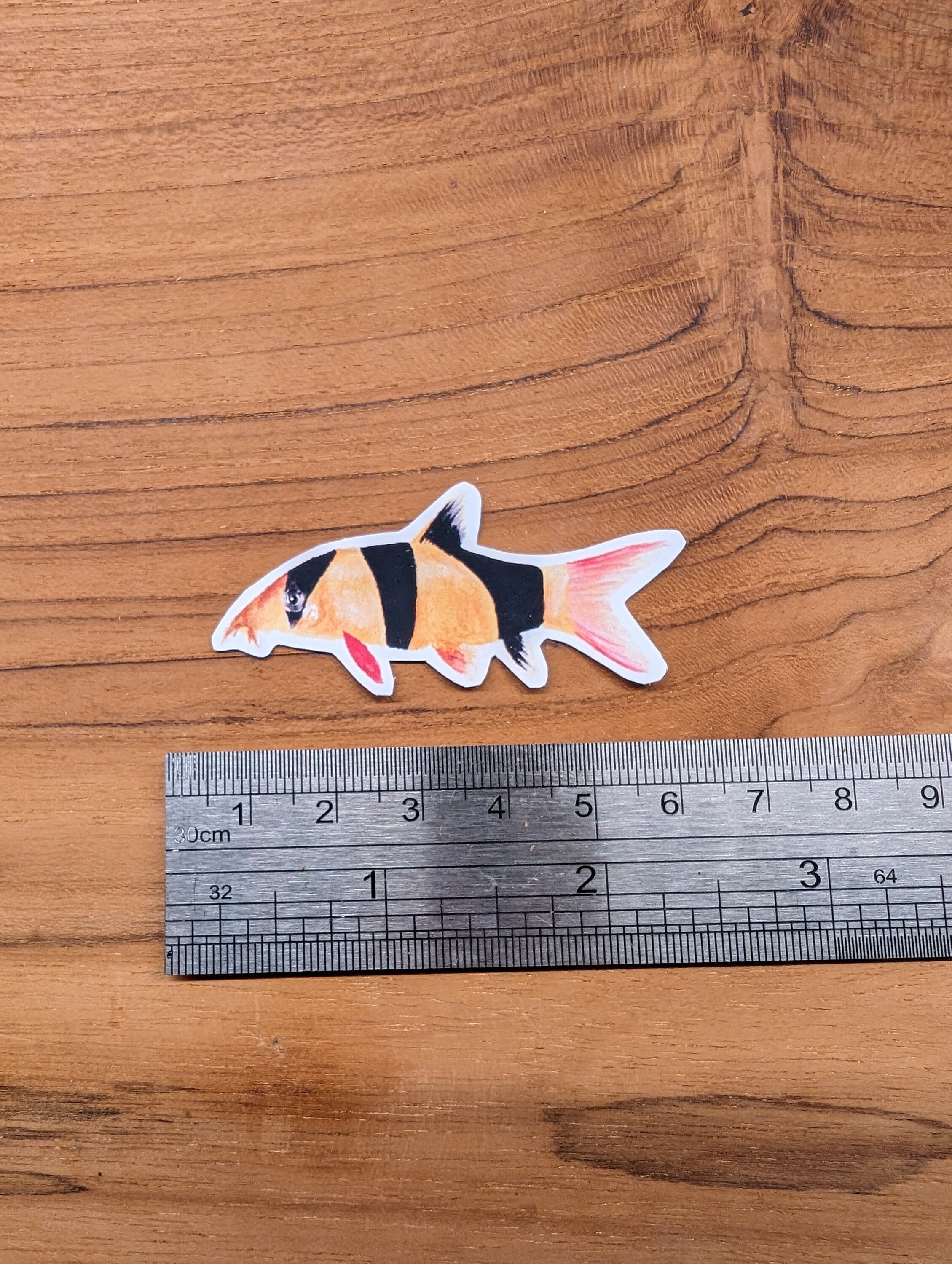 Clown Loach Name Tag Sticker Vinyl Animal Sticker Hand Painted Acrylic ...