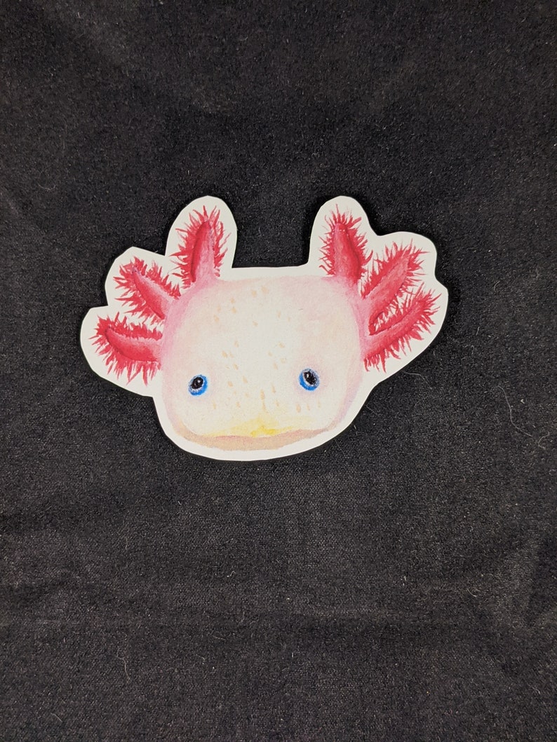 Axolotl Head Sticker Axolotl Name Tag Vinyl Sticker Animal Sticker Hand ...