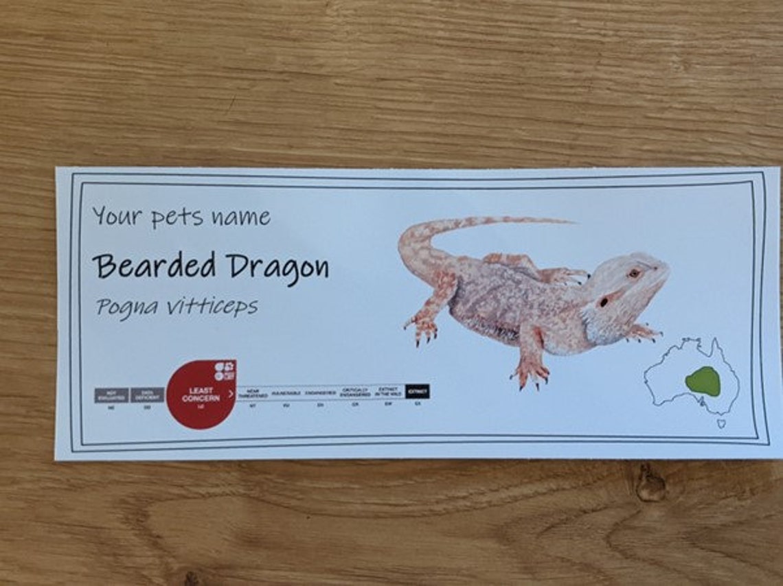 Bearded Dragon Enclosure Zoo Signage Name Tag Sticker Vinyl Animal ...
