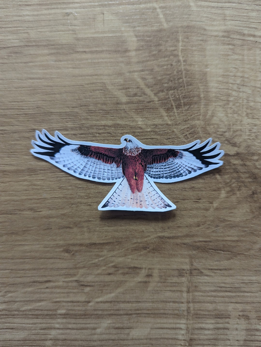 Red Kite Custom Sticker Animal Vinyl Sticker UK Wildlife Hand Painted ...