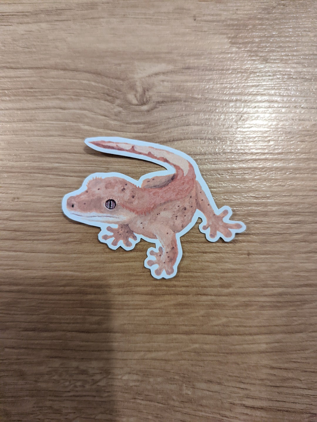 Crested Gecko Name Tag Sticker Vinyl Animal Sticker Hand Painted ...