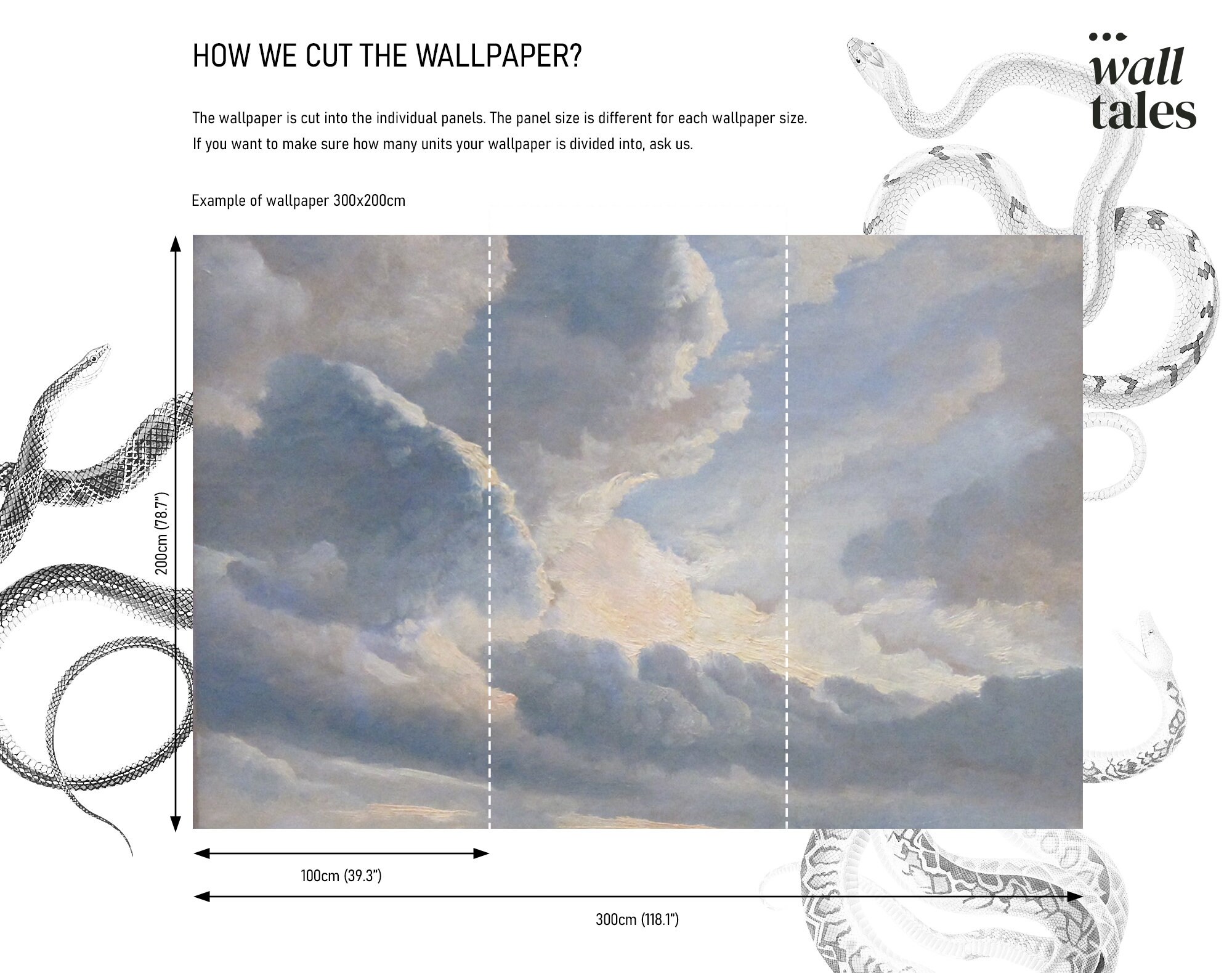 Clouds Vintage Wallpaper, Baroque Painting Wall Mural, Victorian Wall ...