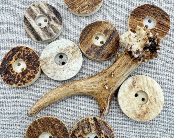 Traditional Costume Buttons, Genuine Horn Buttons, Classic, 2.3 Cm ...