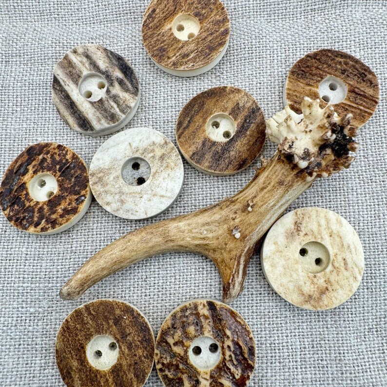 Traditional Costume Buttons, Genuine Horn Buttons, Classic, 2.3 Cm ...
