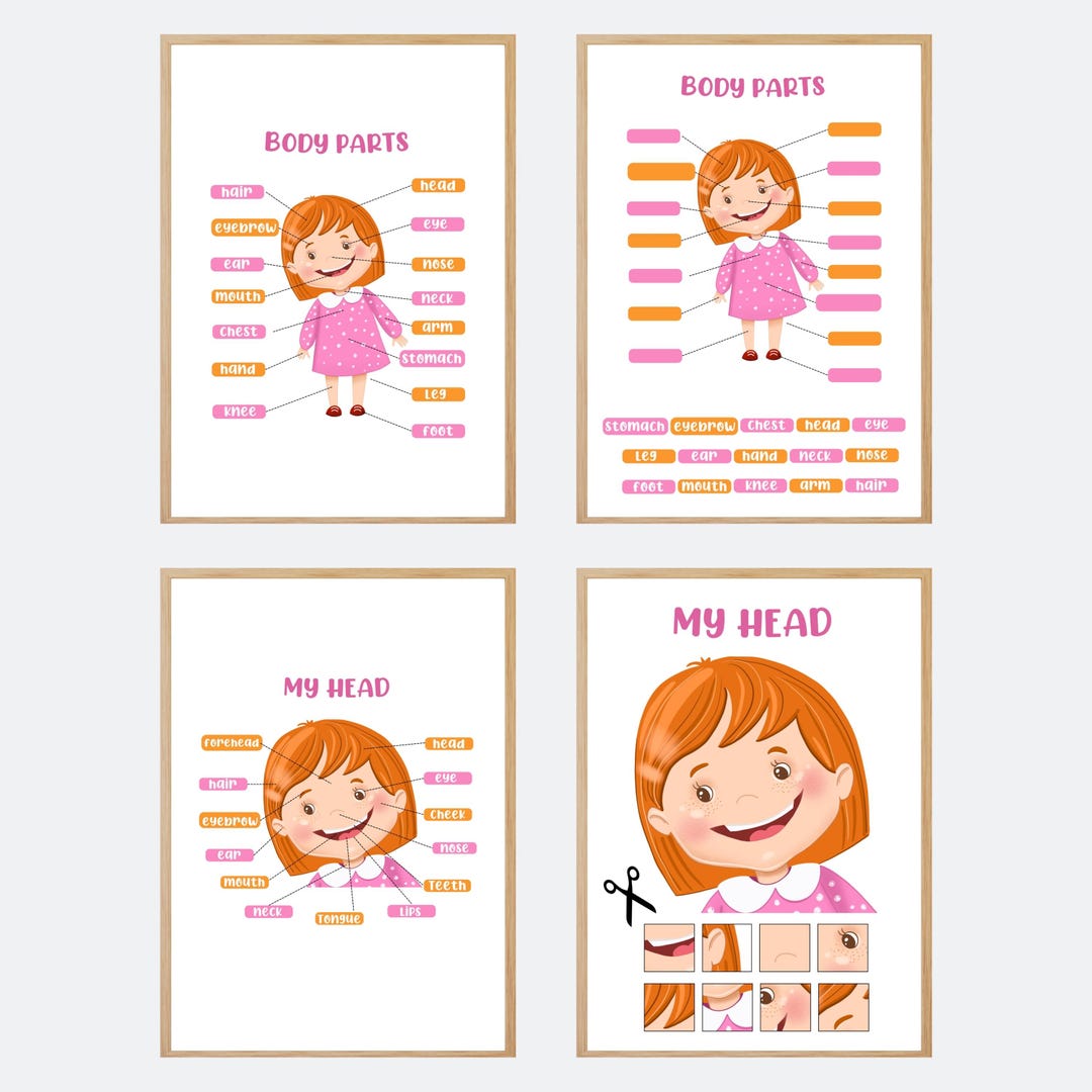 My Body Parts Educational Poster, My Head Poster, Preschool Classroom ...
