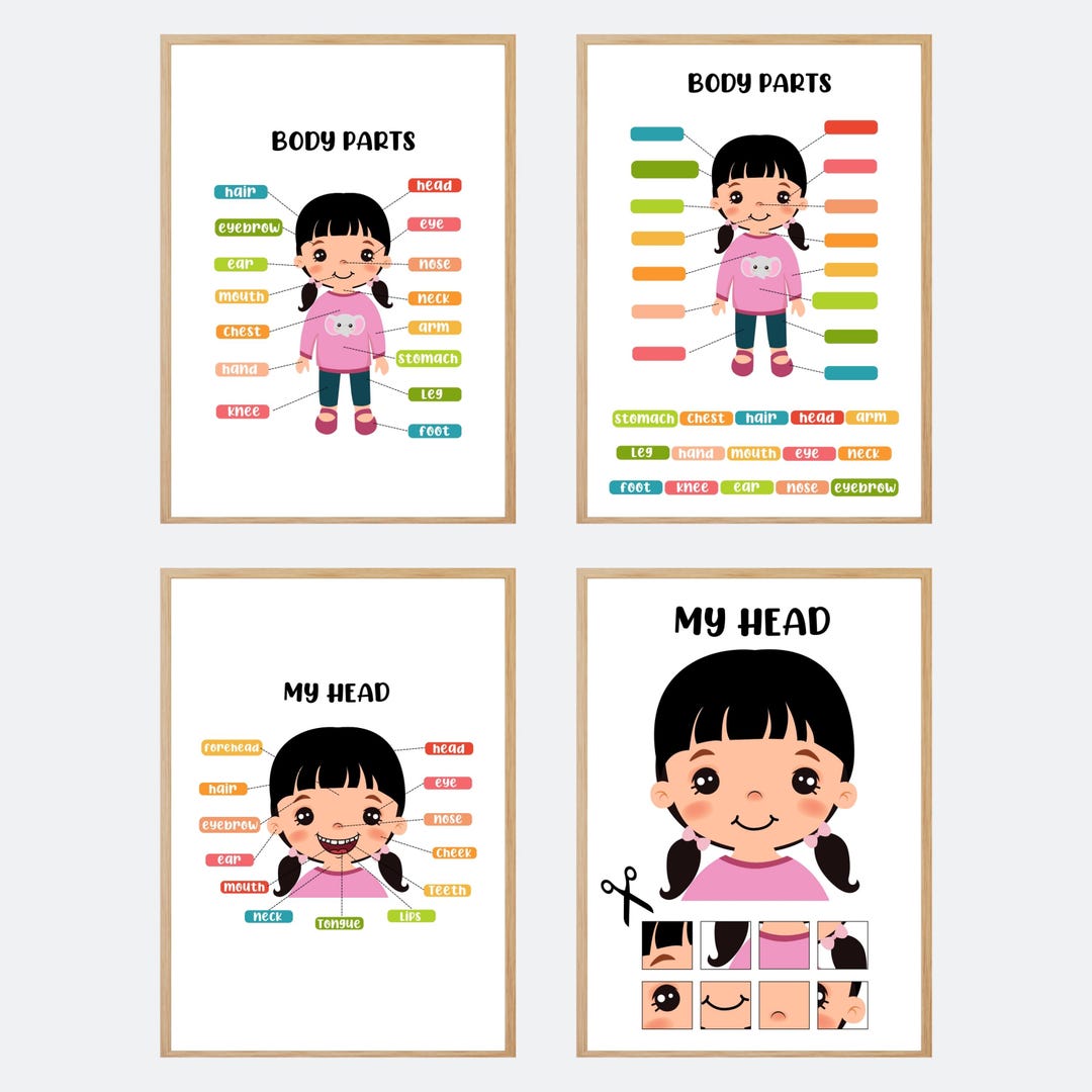 My Body Parts Educational Poster, My Head Poster, Preschool Classroom ...