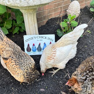 Customized Chicken Coop Sign, Chicken Name Sign, Metal Farm Sign ...