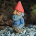Hand Carved Classic Gnome - Etsy