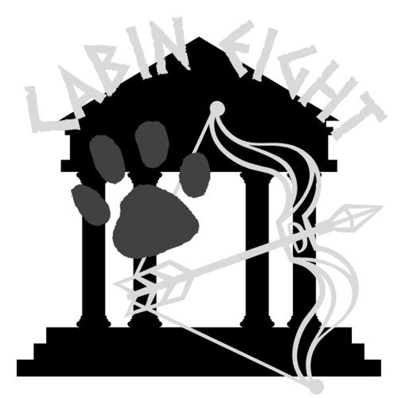 Percy Jackson and the Olympians, Camp Halfblood Cabin Seven, Artemis ...