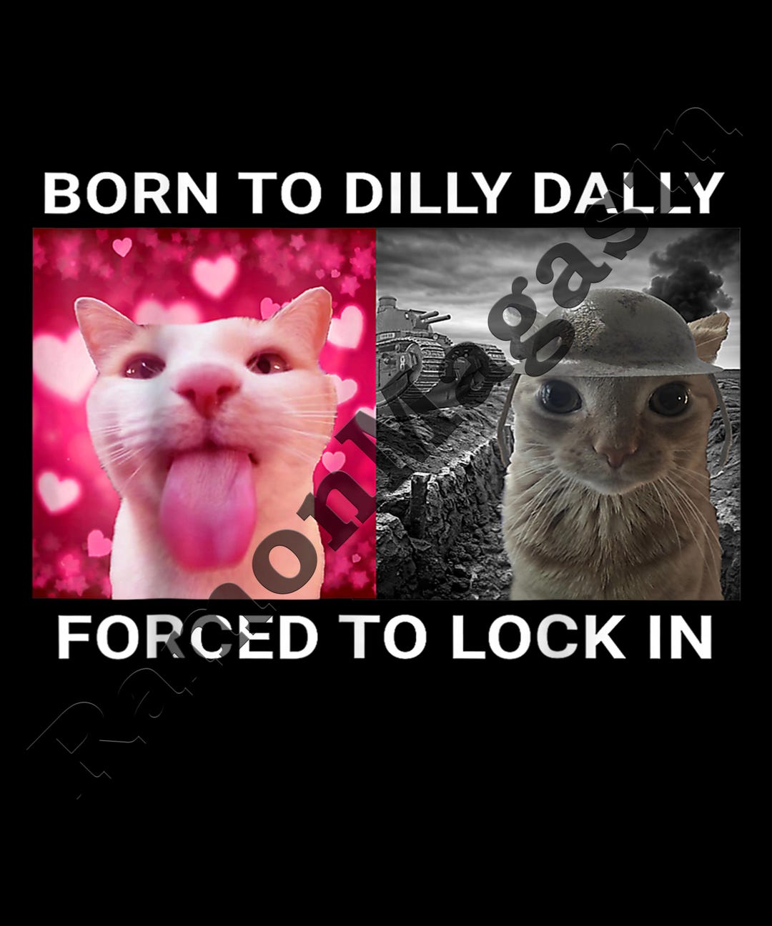 Born to Dilly Dally Forced to Lock in , Funny Cat ,digital PNG - Etsy