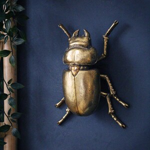 Set of 6 Gold Wall Beetles, Wall Decor, Wall Ornament - Etsy