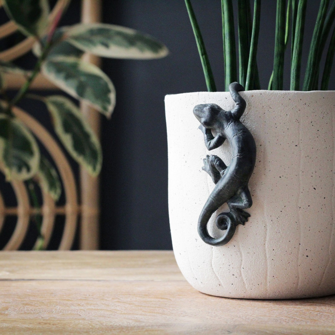 Green Gecko Pot Hanger - Etsy