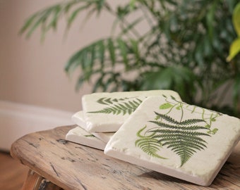 Fern Coaster Set, Set of 4, Wooden Coasters, Olive Wood, Wood Grain ...