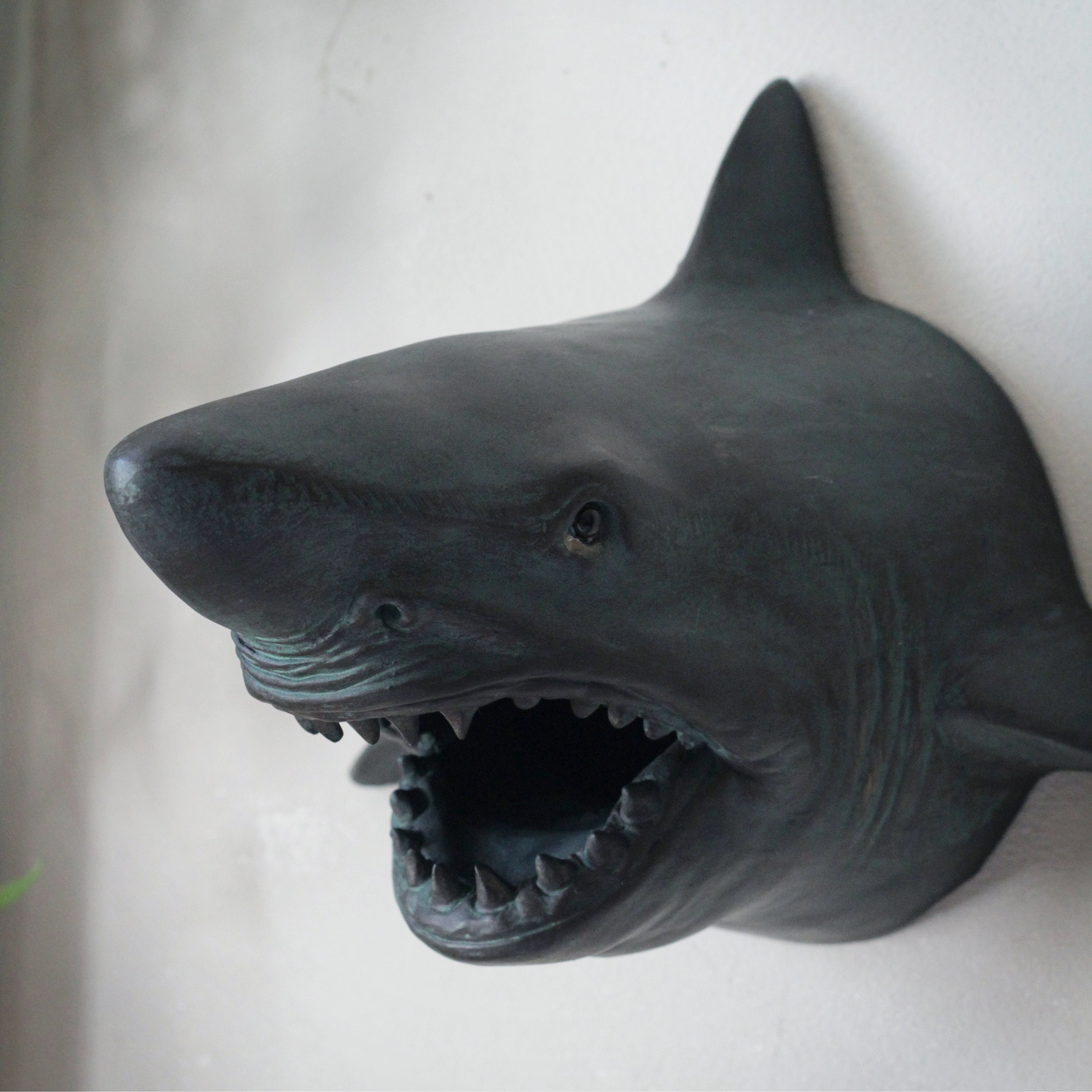 Wall or Desk Mounted Shark Head - Etsy
