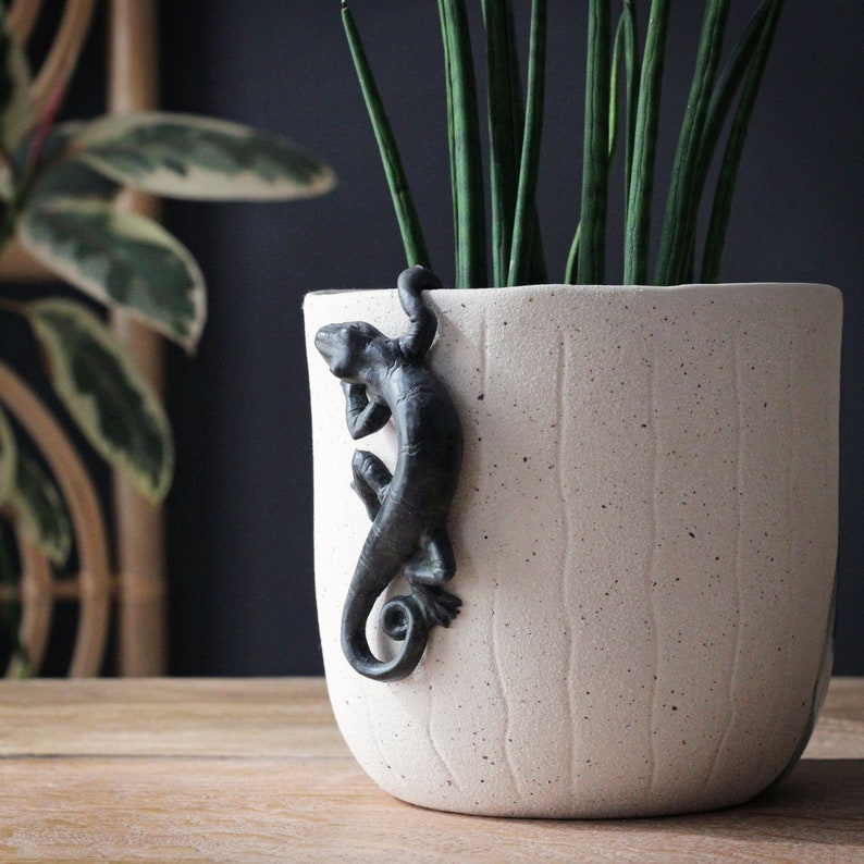 Green Gecko Pot Hanger - Etsy