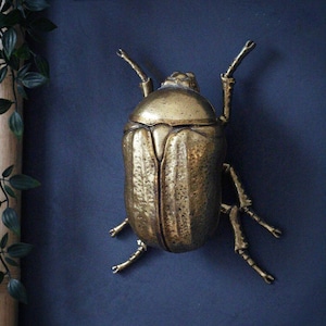 Set of 6 Gold Wall Beetles, Wall Decor, Wall Ornament - Etsy