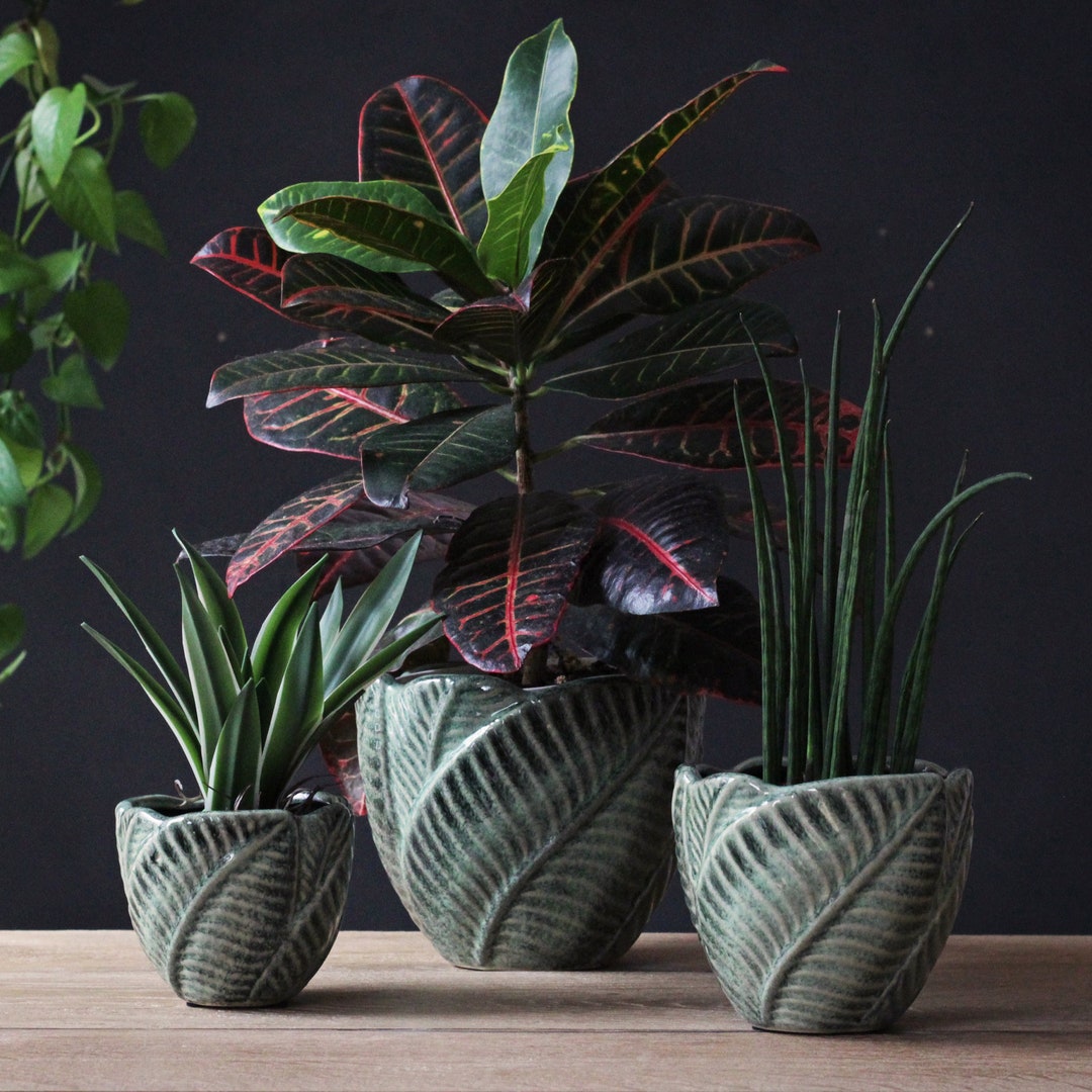 Green Leaf Planters - Etsy