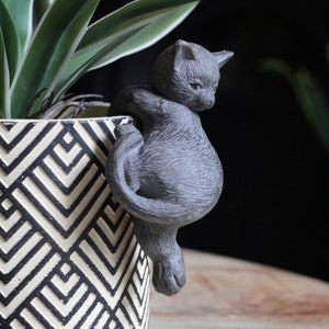 Swinging Cat Pot Hanger - Etsy