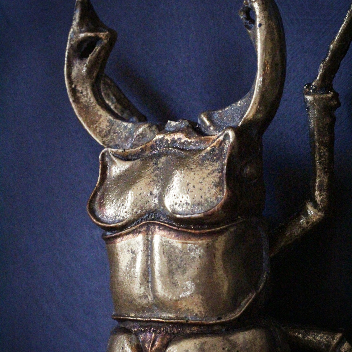 Large Gold Stag Beetle Wall Decor, Wall Ornament - Etsy