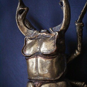 Large Gold Stag Beetle Wall Decor, Wall Ornament - Etsy