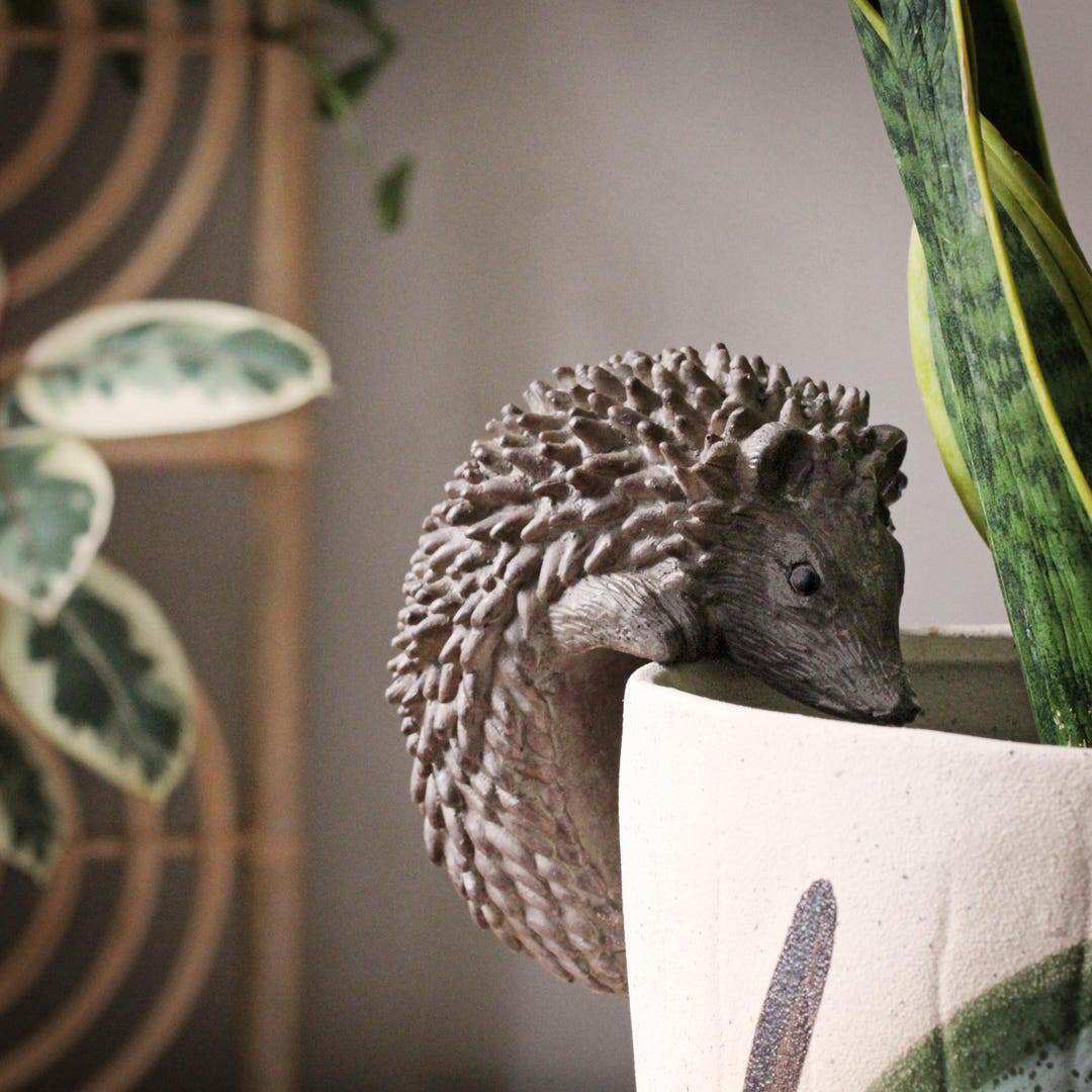 Extra Large Hedgehog Pot Hanger, Ornament - Etsy