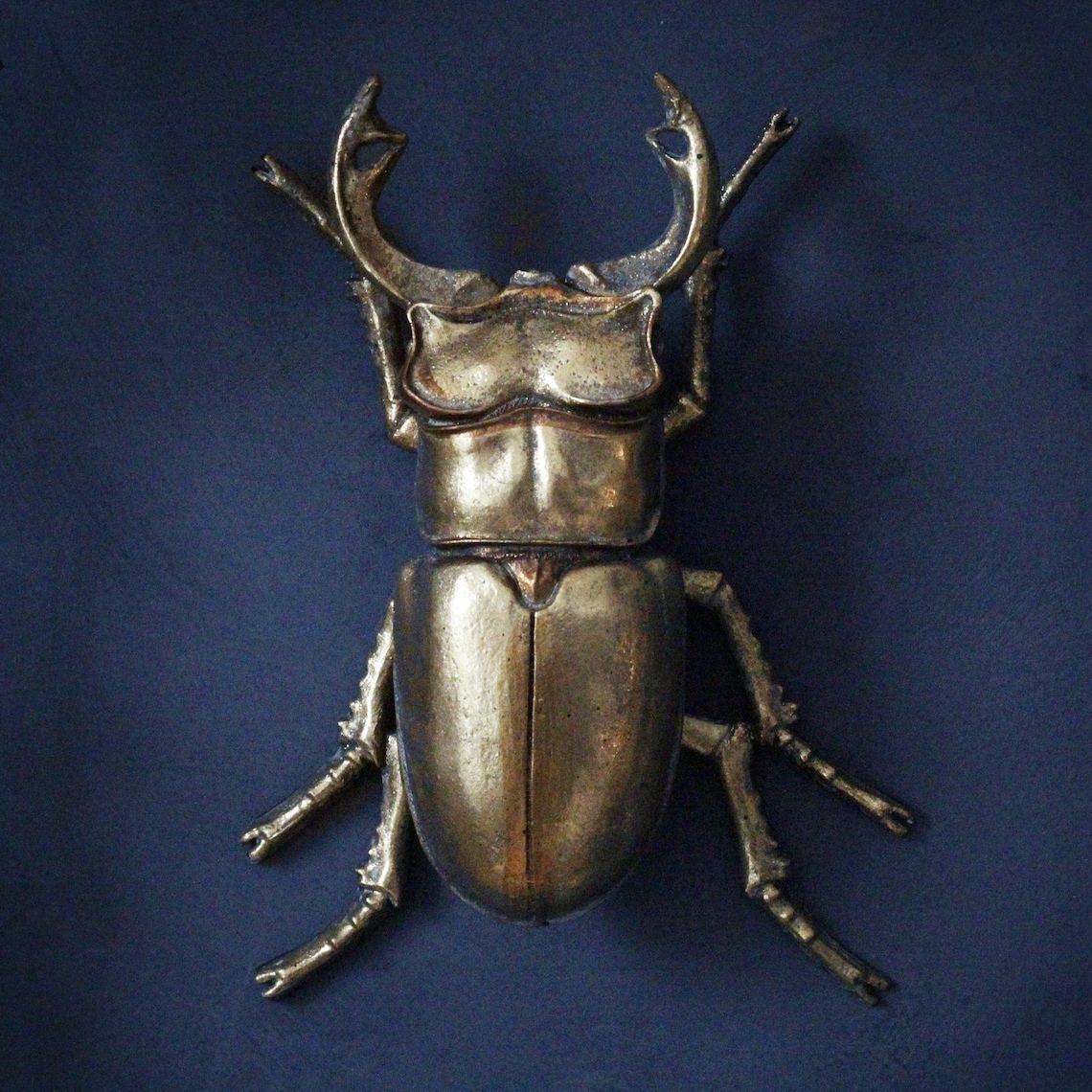 Large Gold Stag Beetle Wall Decor, Wall Ornament - Etsy