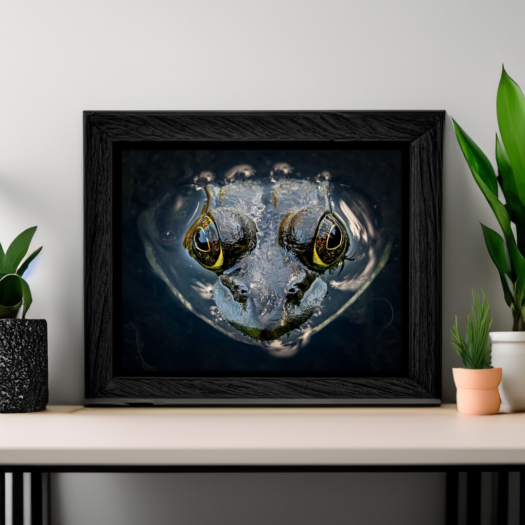 Frog in the Pond Printable Nature Photography, High Resolution, Instant ...