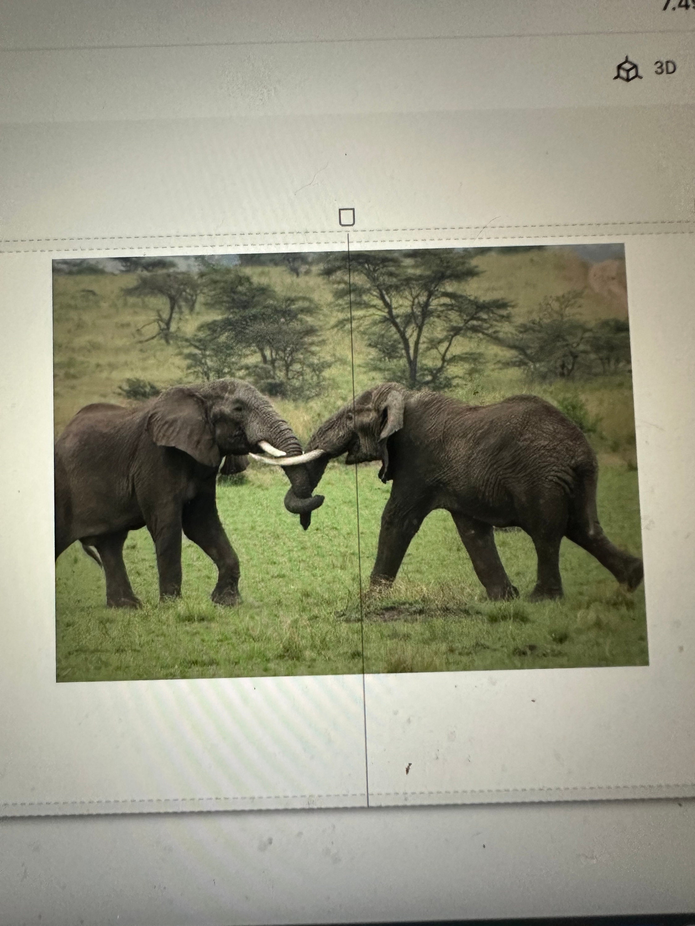 Elephants Holding Trunks Mug - Etsy