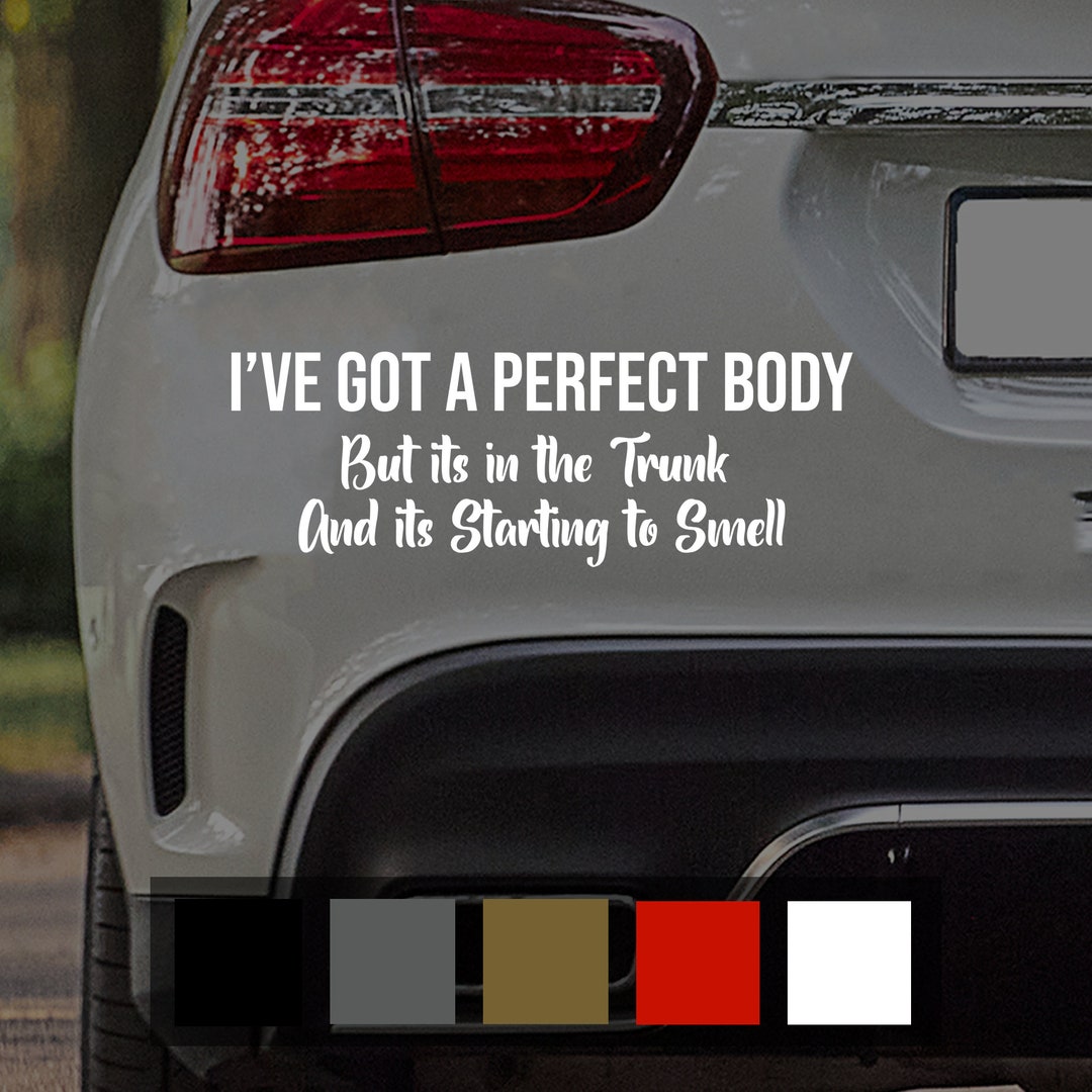 Car Funny Perfect Body Decal | Window & Bumper Car Sticker | Van Decal ...
