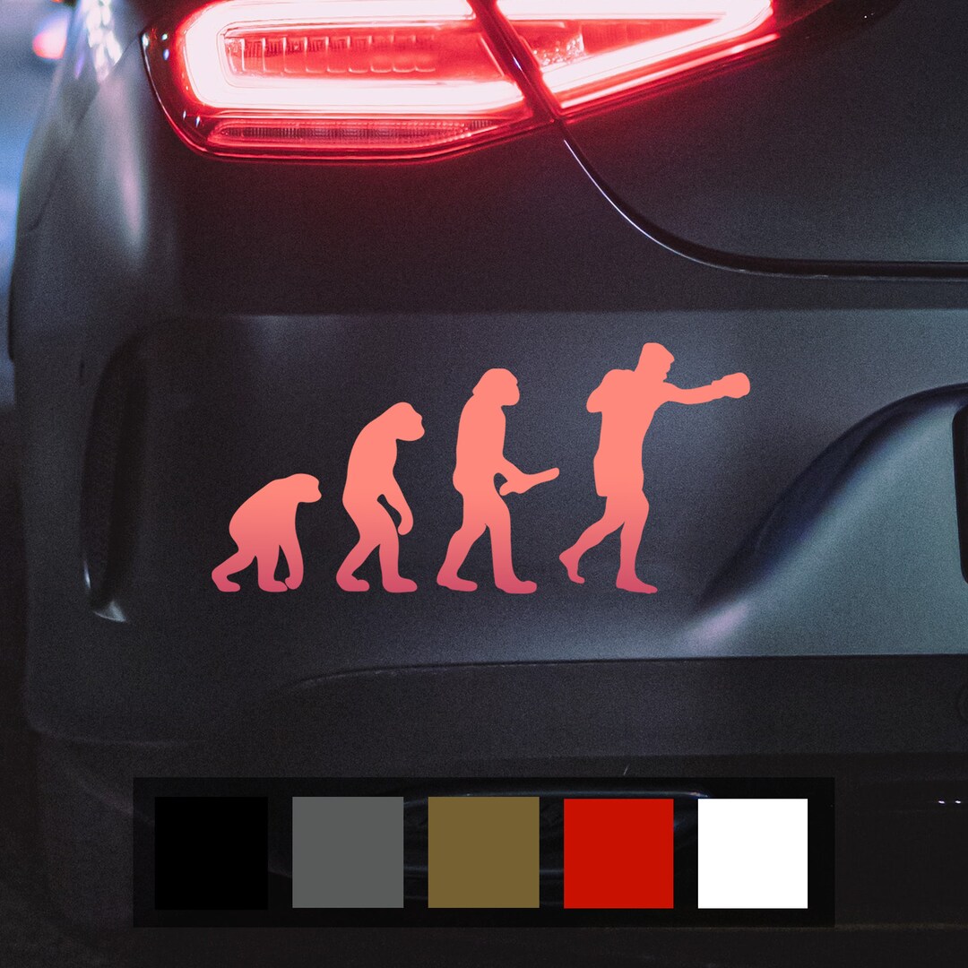 Car Evolution Boxing MMA Funny Car Decal Window & Bumper Car Sticker ...