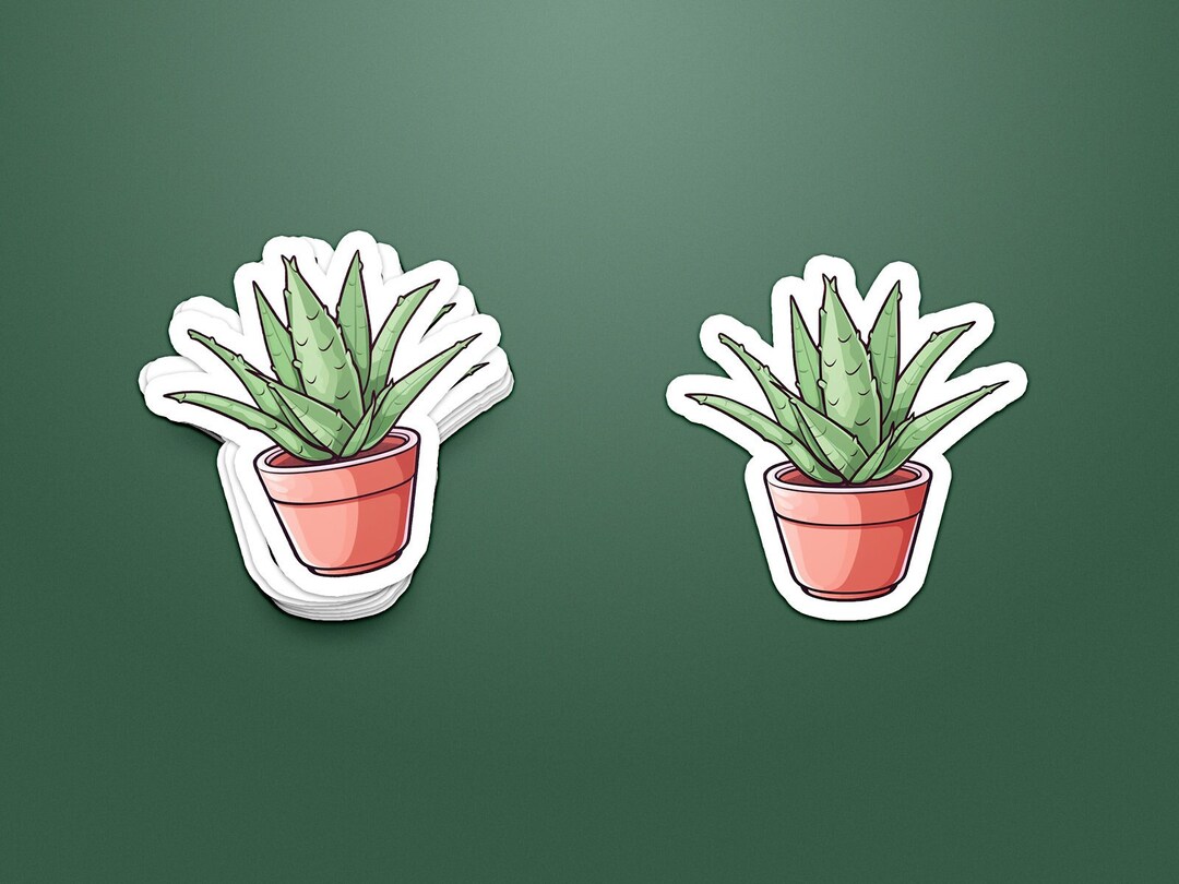 Aloe Vera Sticker, Vinyl Laptop Sticker, Vinyl Water Bottle Sticker - Etsy