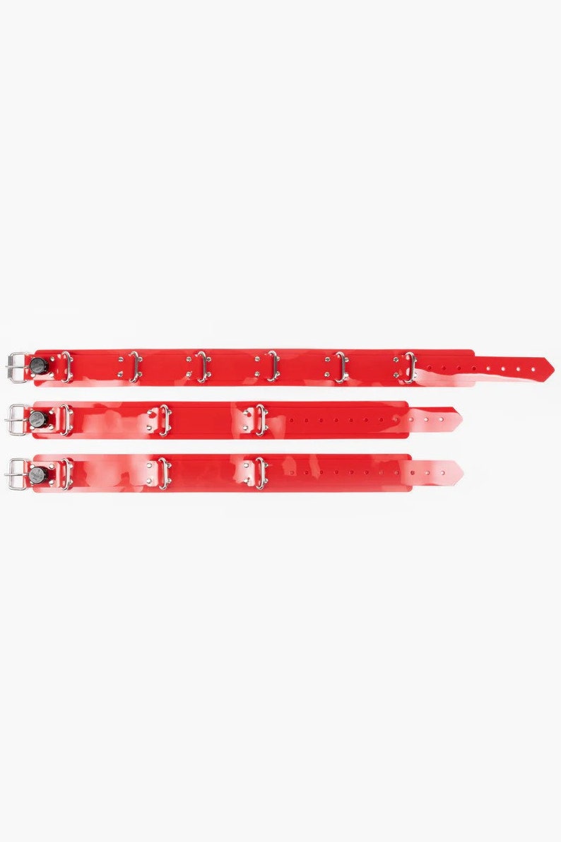Full Body Set Segufix Magnetic Lock Accessory Collection Bdsm