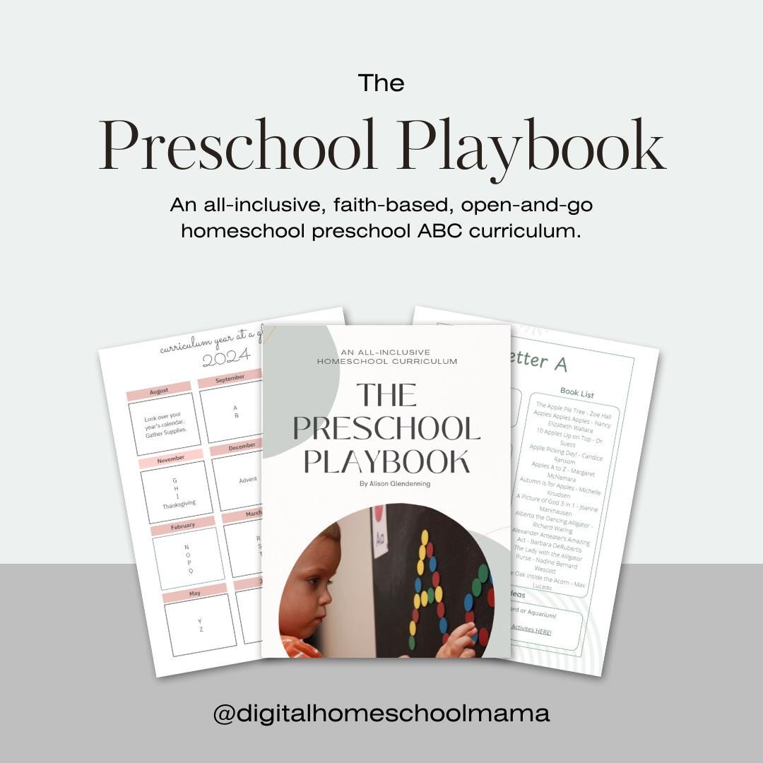 The Preschool Playbook - Etsy