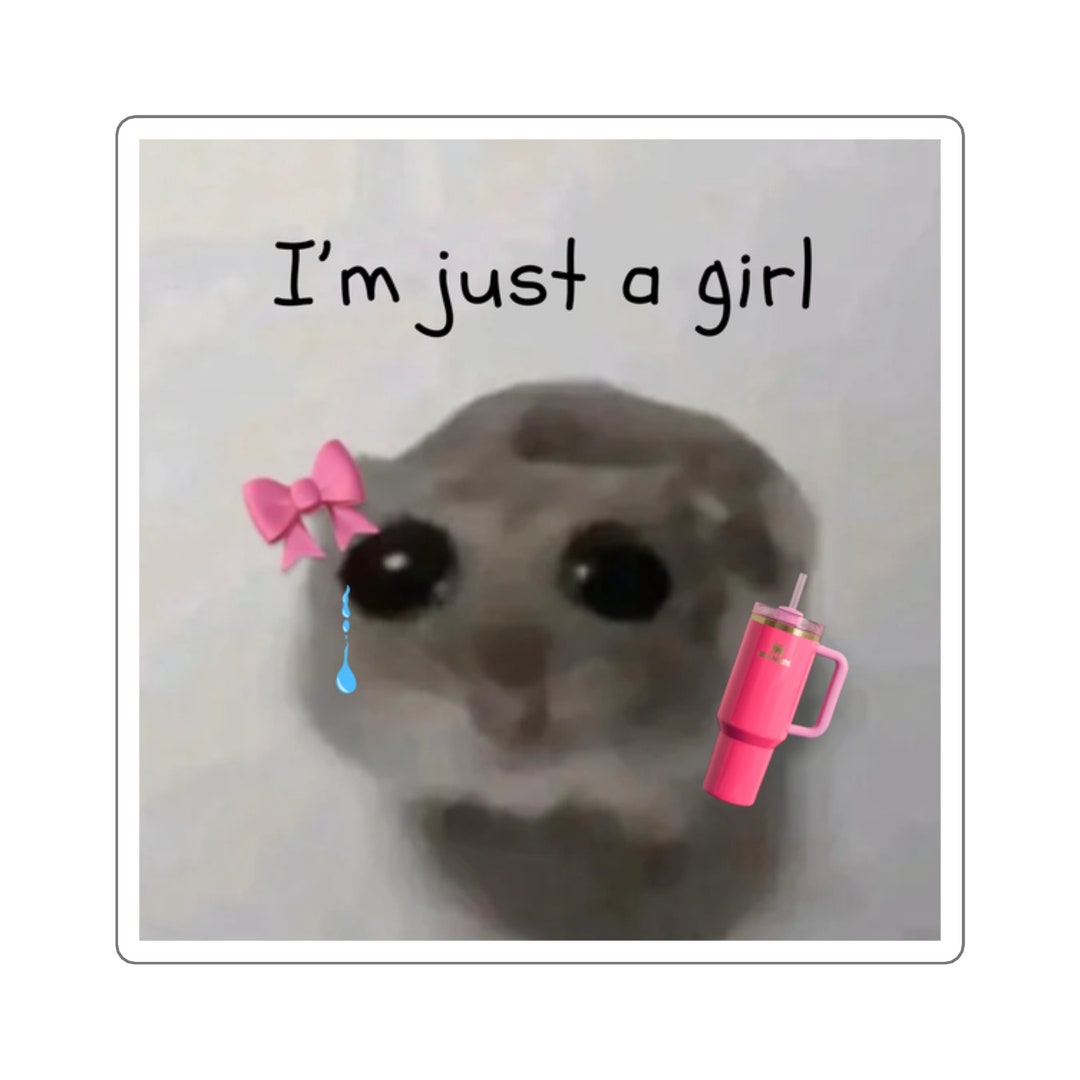 Funny Tiktok Hamster Meme, Tiktok Meme, Funny Hamster Meme, Tiktok Hamster, I'm Just A Girl, Sad ...