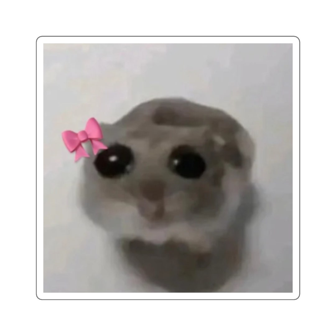 Funny Tiktok Hamster Meme, Tiktok Meme, Funny Hamster Meme, Tiktok ...